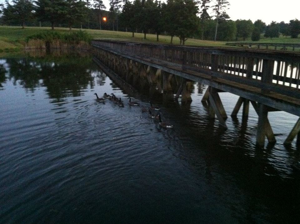 Gallery - Big Spring Lake Golf Club